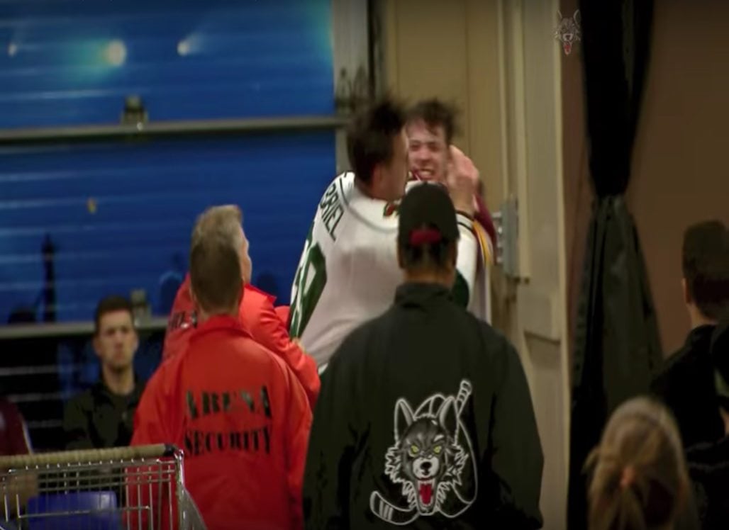 Chicago Wolves Players Brawl Outside Locker Room