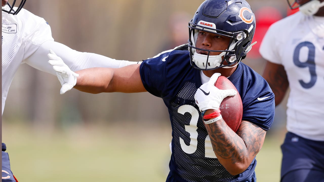 David Montgomery Just Delivered His Best Practice as a Bear