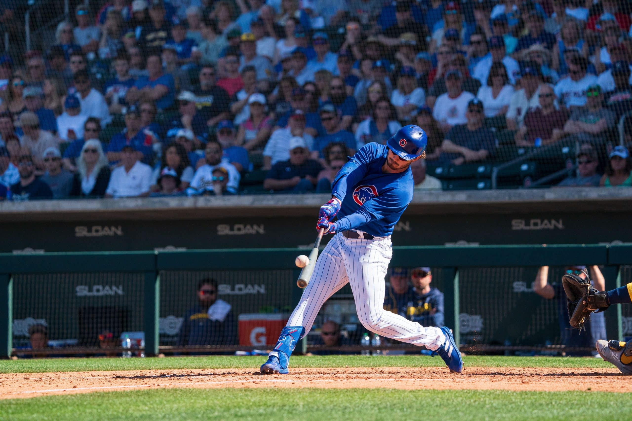 Cubs Bench Guy Playing Himself Out of a Job