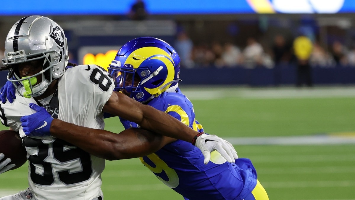 Why Quindell Johnson Could Be A Massive Steal For The Bears