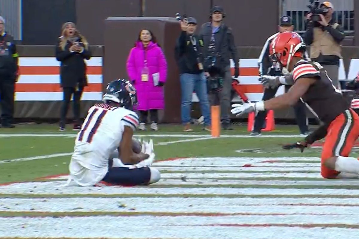 Bears Have A Bad History of Being On the Wrong Side Of Near-Miraculous ...