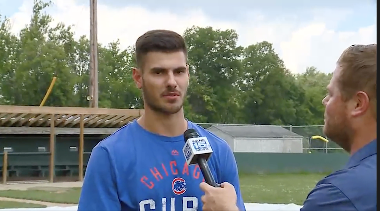 Cubs Prospect Suspended for PEDs